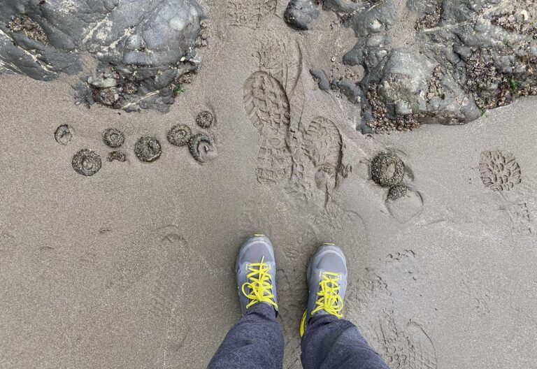 Second Beach Washington: Ultimate Guide to ONP's Best Beach - Sand and ...