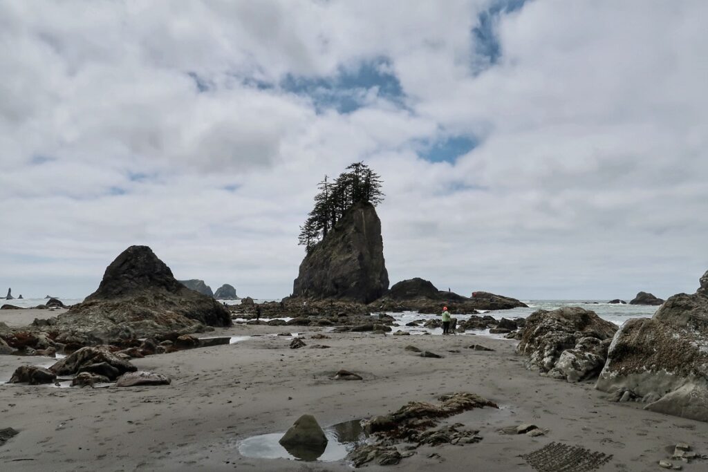 Second Beach Washington: Guide to ONP's Best Beach