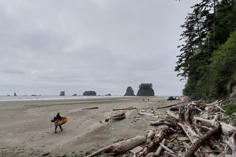 Second Beach Washington: Ultimate Guide to ONP's Best Beach - Sand and ...