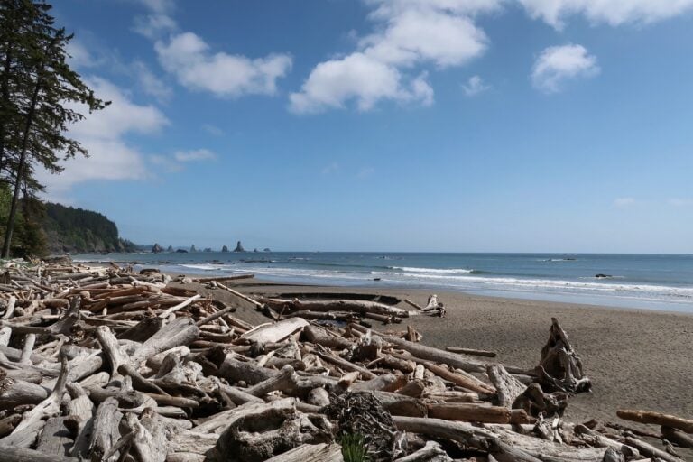 Second Beach Washington: Guide to ONP's Best Beach