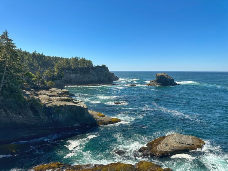 15 Things to Do in Neah Bay: Best Attractions & Activities