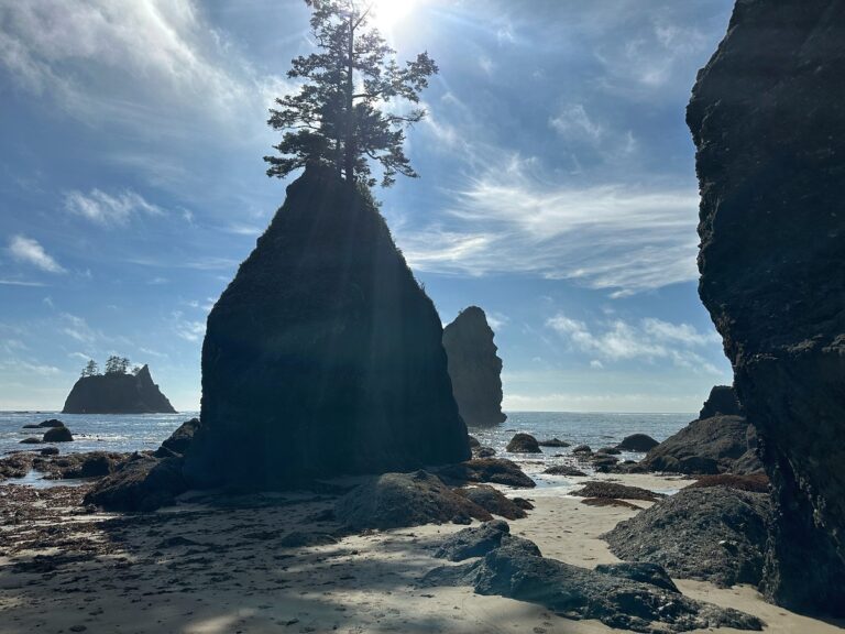 15 Things to Do in Neah Bay: Best Attractions & Activities - Sand and ...