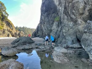 15 Things to Do in Neah Bay: Best Attractions & Activities - Sand and ...