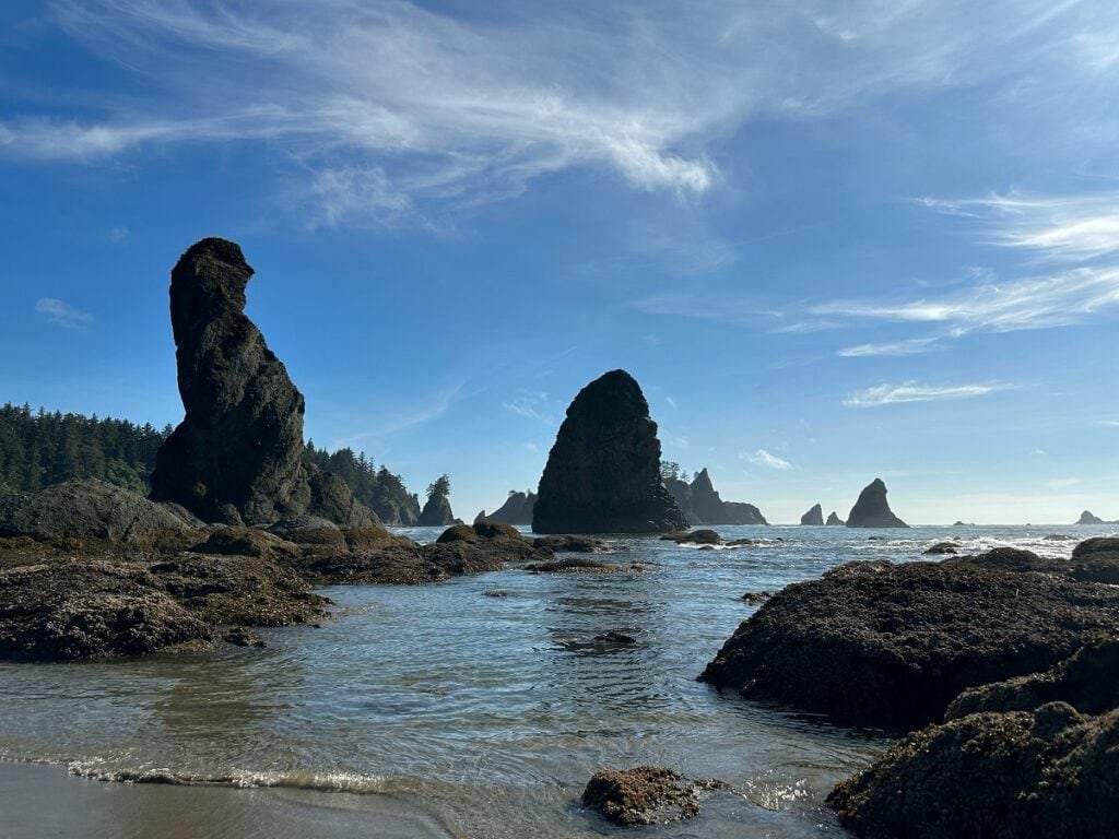 15 Things to Do in Neah Bay: Best Attractions & Activities