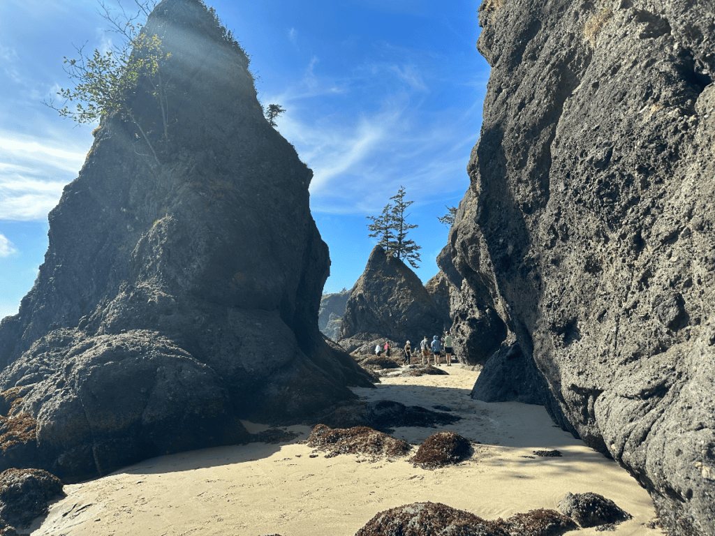 Point of Arches: WA’s Best Coastline Scenery on Shi Shi Beach