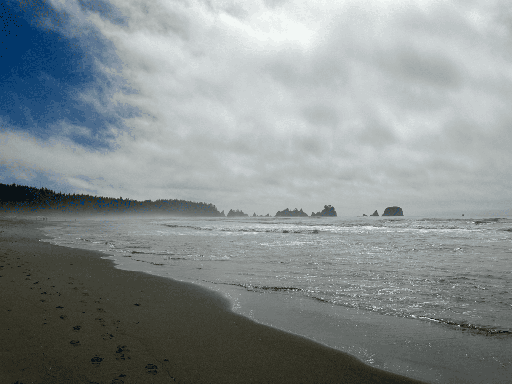 Point of Arches: WA’s Best Coastline Scenery on Shi Shi Beach