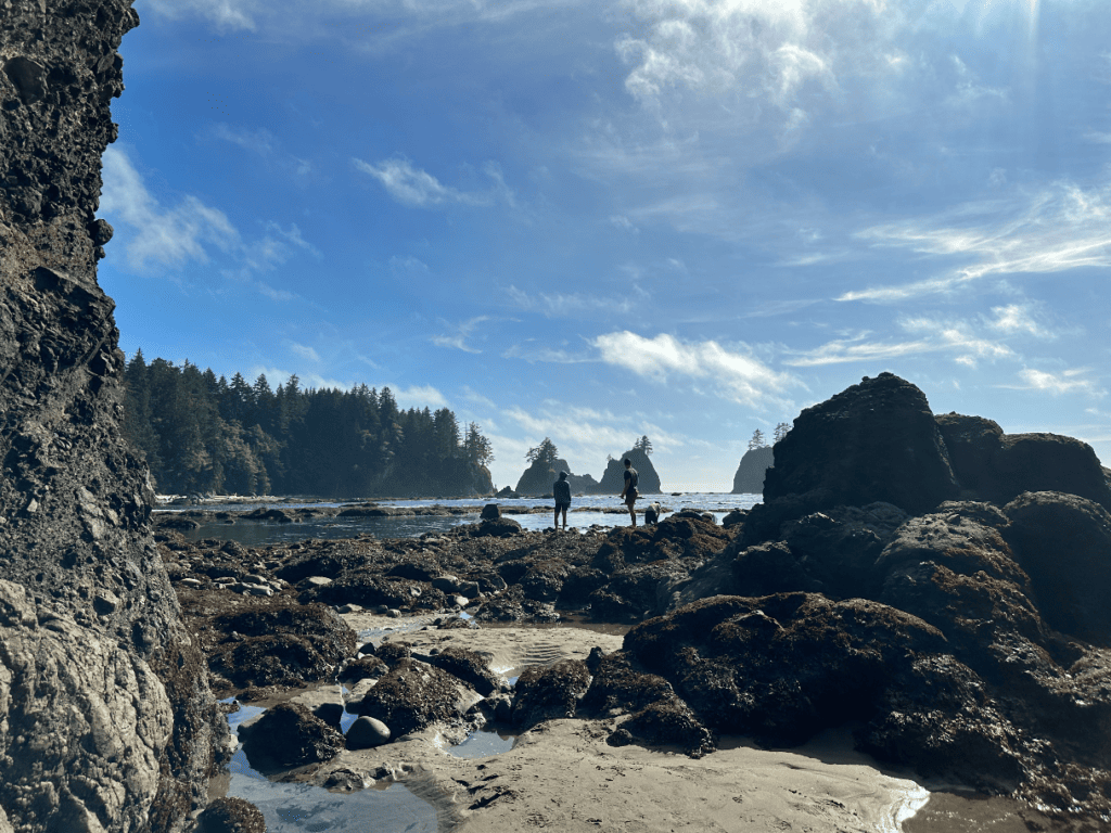 Point of Arches: WA’s Best Coastline Scenery on Shi Shi Beach