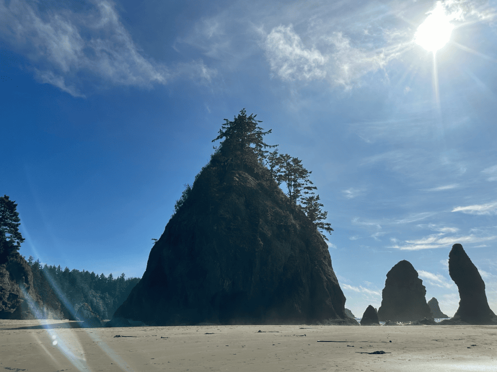 Point of Arches: WA’s Best Coastline Scenery on Shi Shi Beach