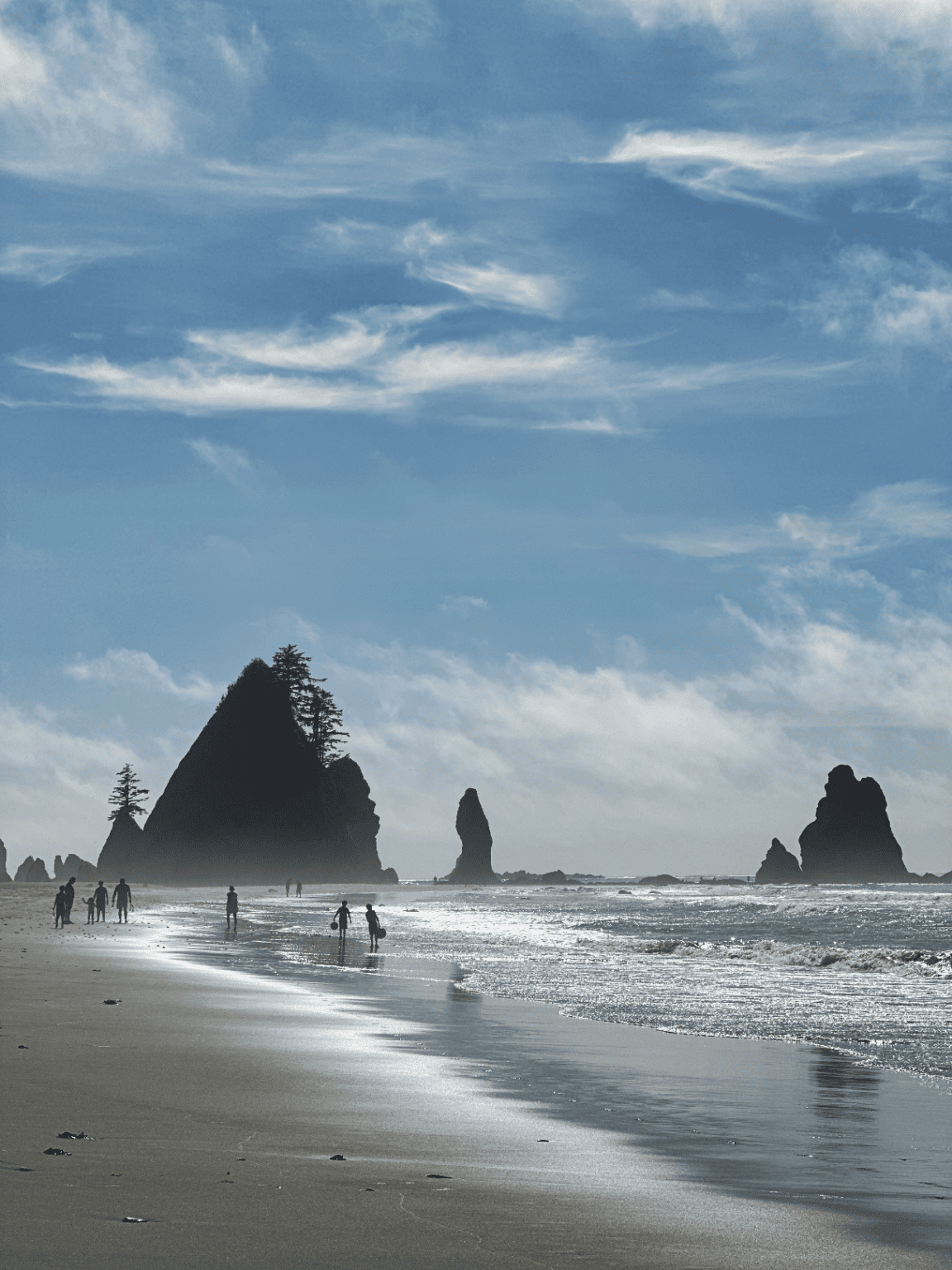 Point of Arches: WA’s Best Coastline Scenery on Shi Shi Beach