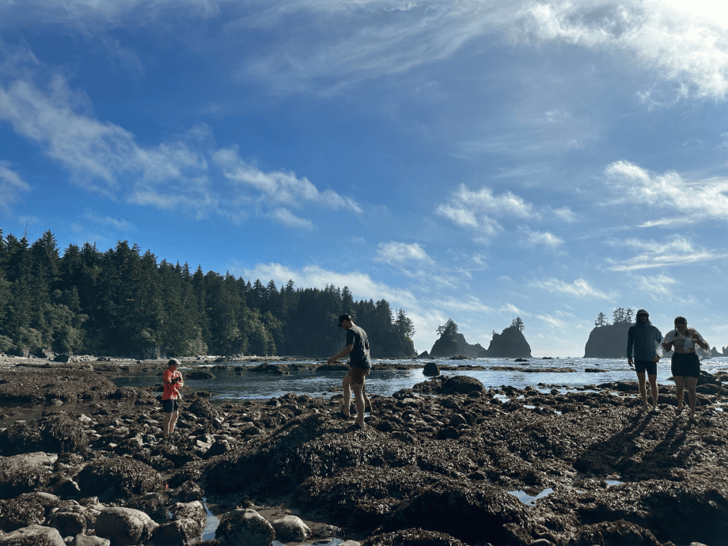 Point of Arches: WA’s Best Coastline Scenery on Shi Shi Beach