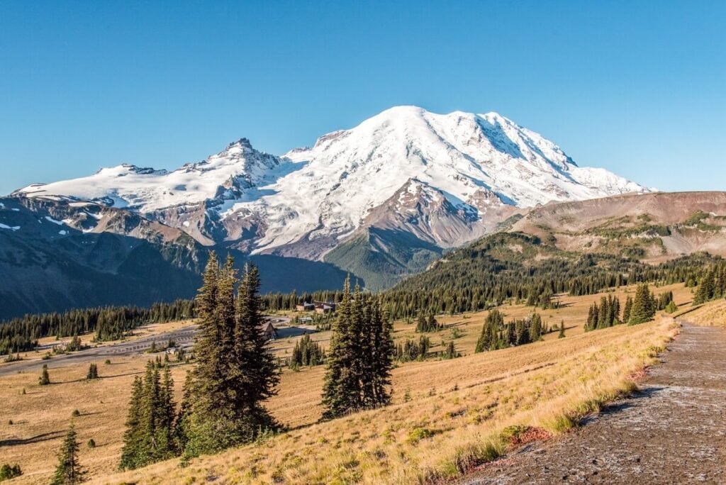 17 BEST Places to See Mount Rainier (Non-Hikers Too!)