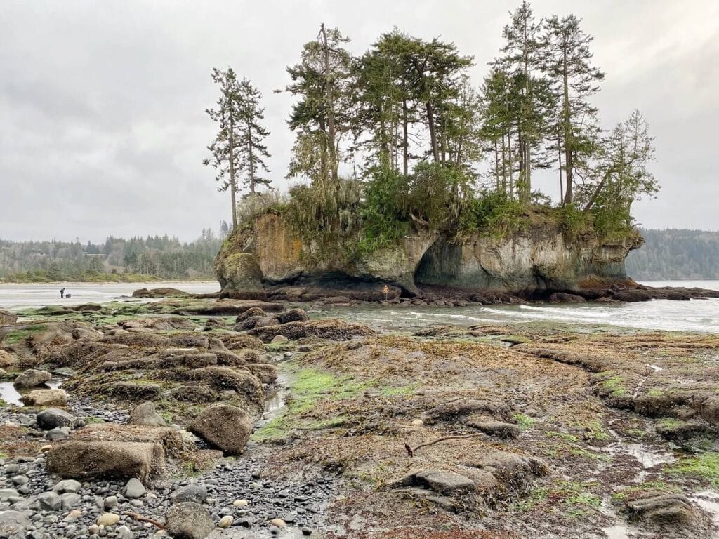 Salt Creek Recreation Area Guide (15 FUN Things to Do!)