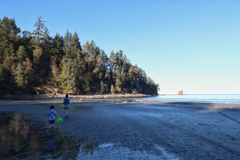 10 BEST Beaches in Port Angeles (Tide-Pooling & More!)