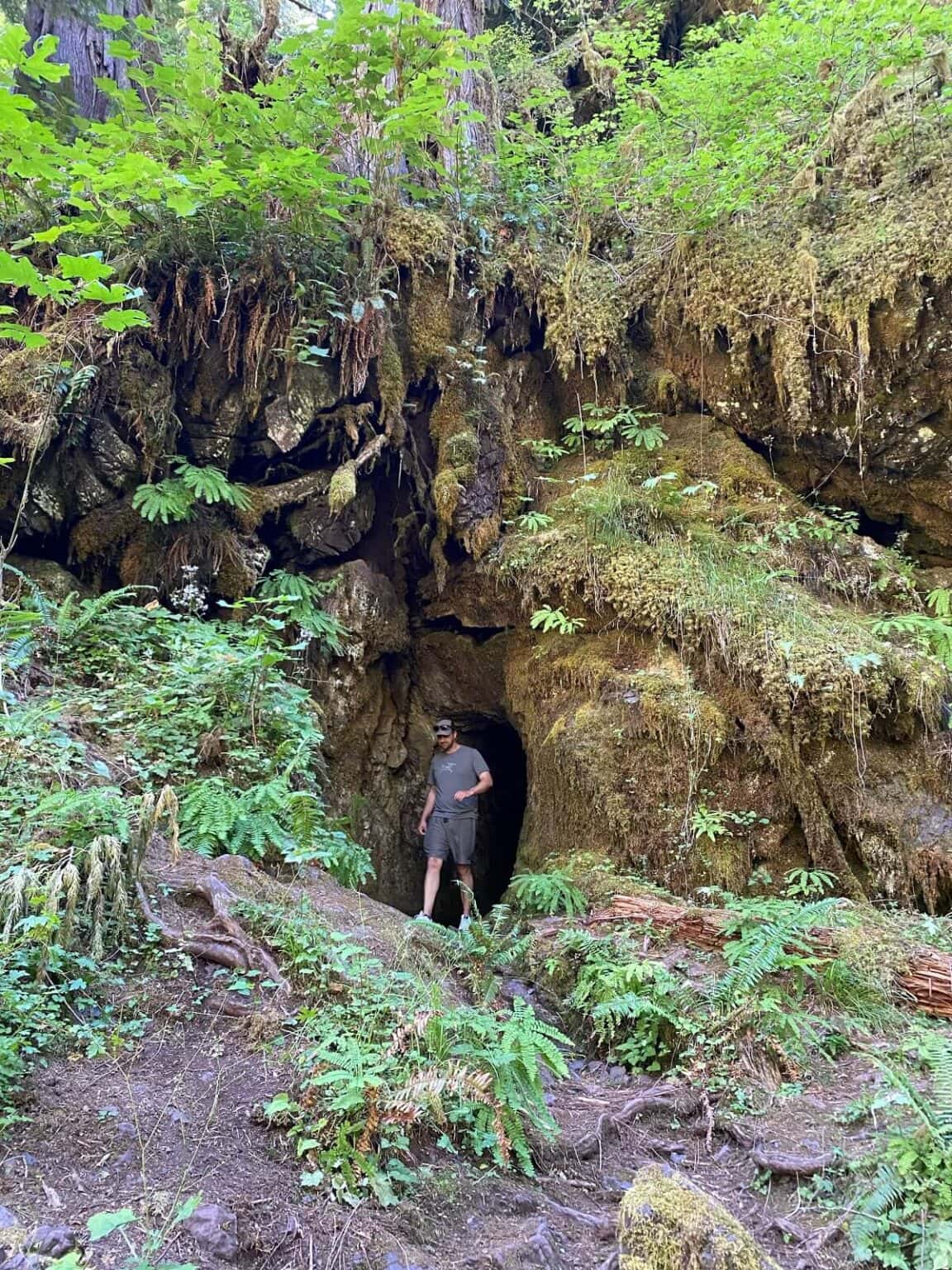 Olympic National Park Day Trip (Best 1-Day Itineraries!)