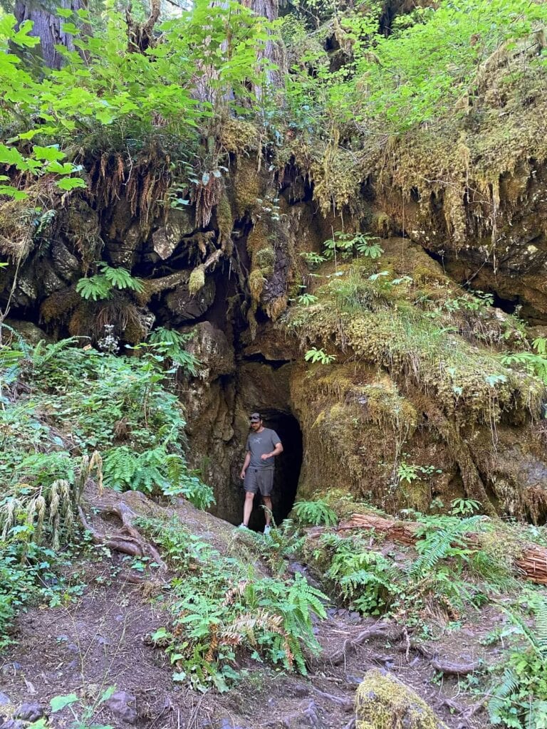 Olympic National Park Day Trip (Best 1-Day Itineraries!)
