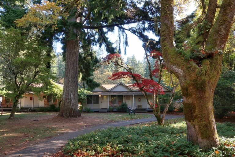 Fall in Olympic National Park (11 BEST Things to Do!)