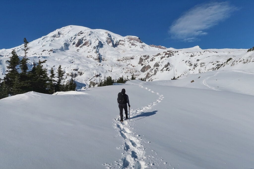 Best Time to Visit Mount Rainier: Will the Mountain Be Out?