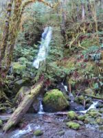 Merriman Falls: A Roadside Gem on the Olympic Peninsula