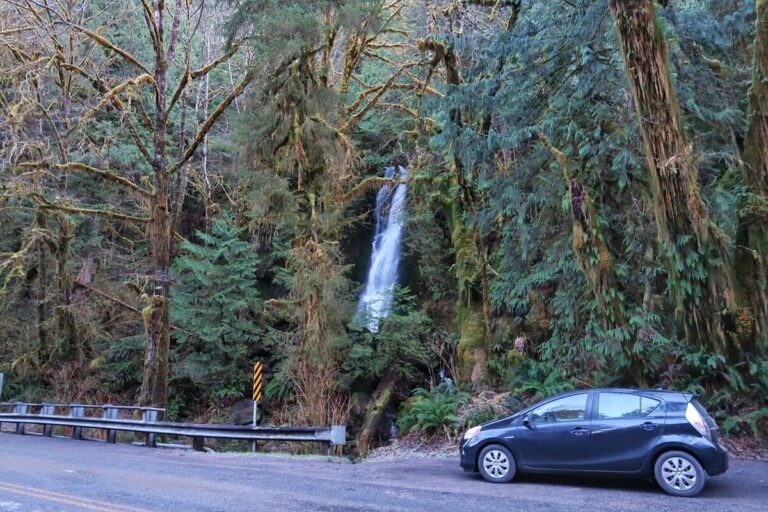 Merriman Falls: A Roadside Gem on the Olympic Peninsula