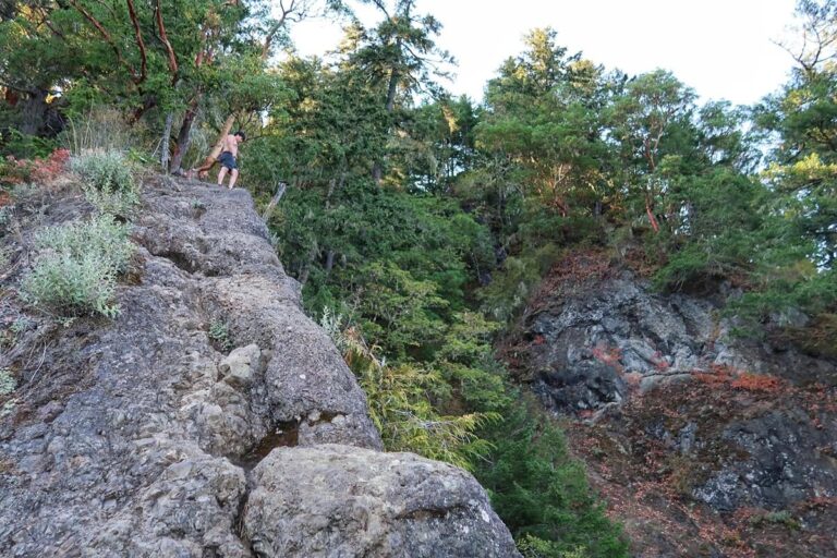 Devil’s Punchbowl at Lake Crescent: Is it Worth a Visit?