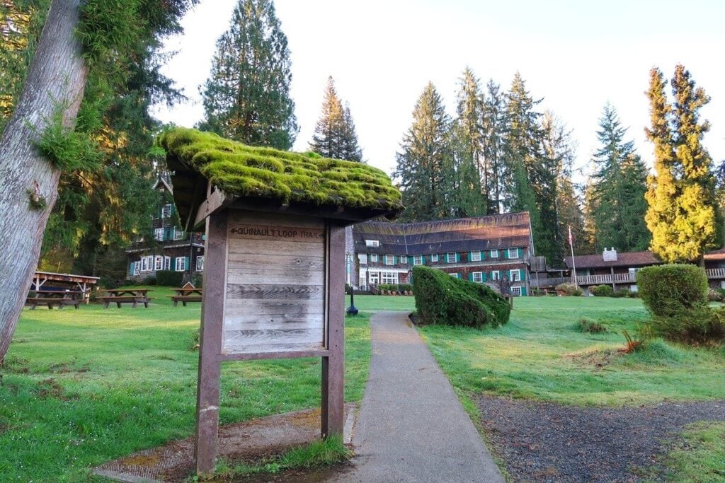 10 BEST Day Hikes on the Olympic Peninsula in Summer & What to Pack