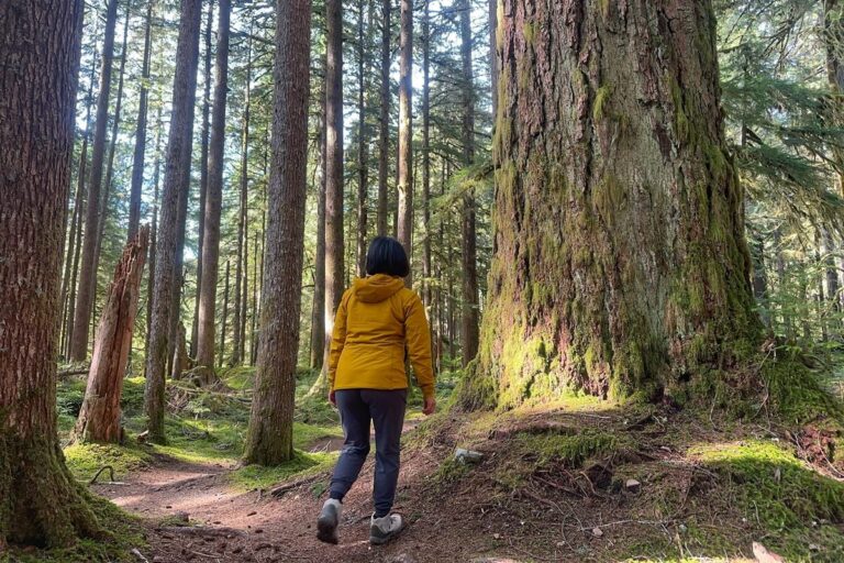 A Day in the Sol Duc Valley (Best Hikes & Waterfalls)