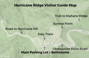 Guide to Visiting Hurricane Ridge in Olympic National Park
