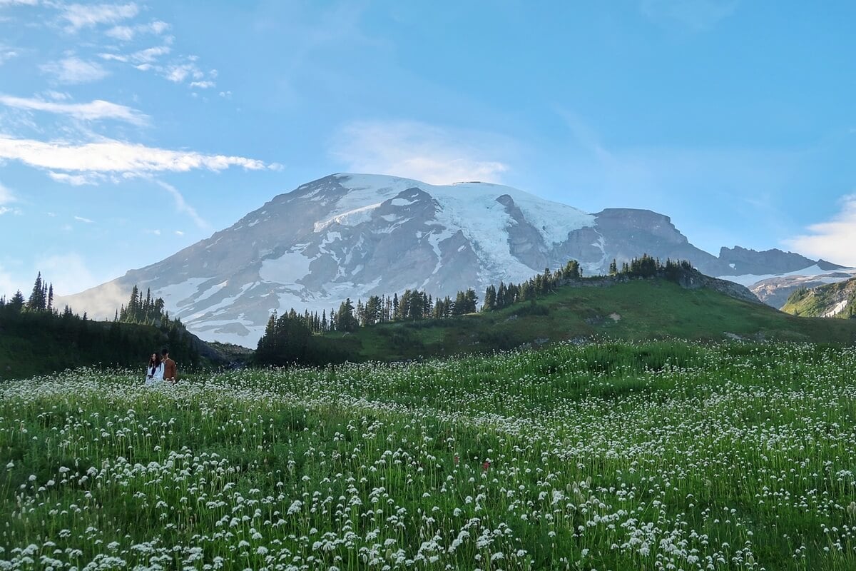 Start Planning Your Trip to Paradise at Mount Rainier Like a Local