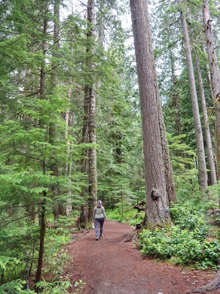 Trail of the Shadows at Mt Rainier: Who It’s Best For & What You’ll See