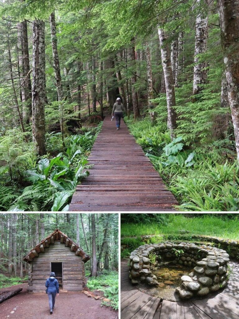 Trail of the Shadows at Mt Rainier: Who It’s Best For & What You’ll See